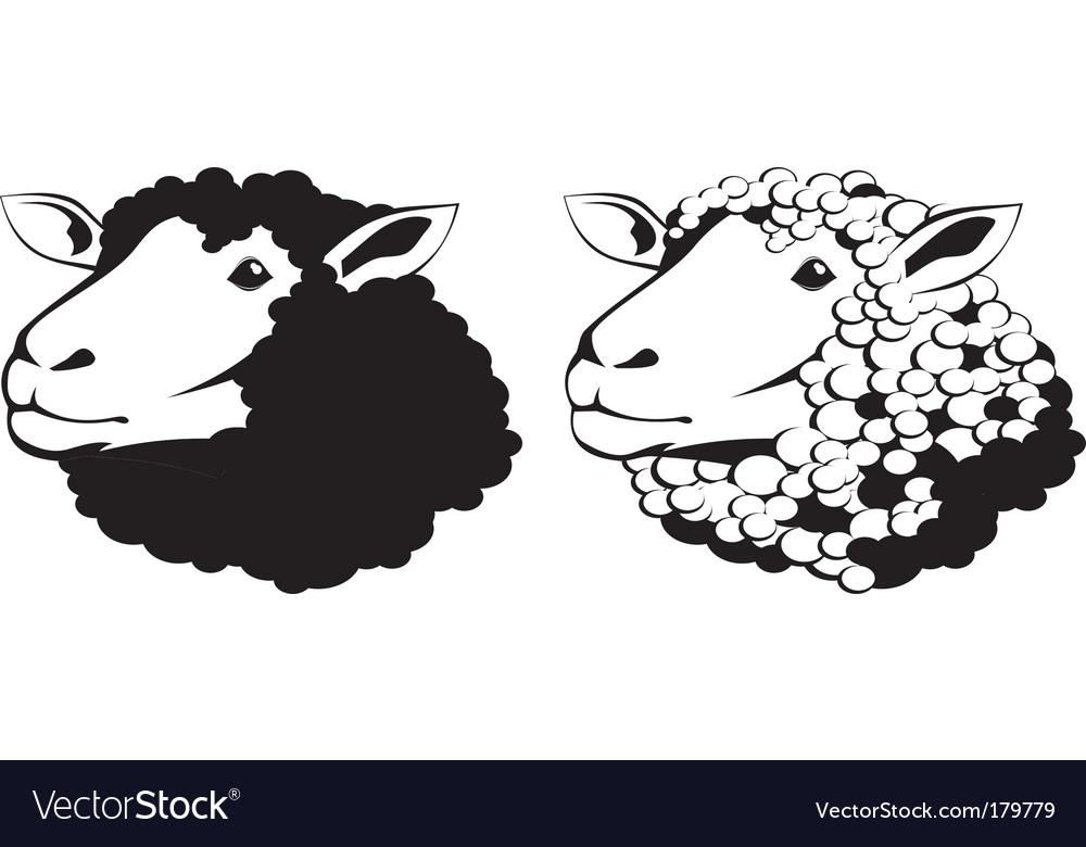 Sheep Royalty Free Vector Image - VectorStock