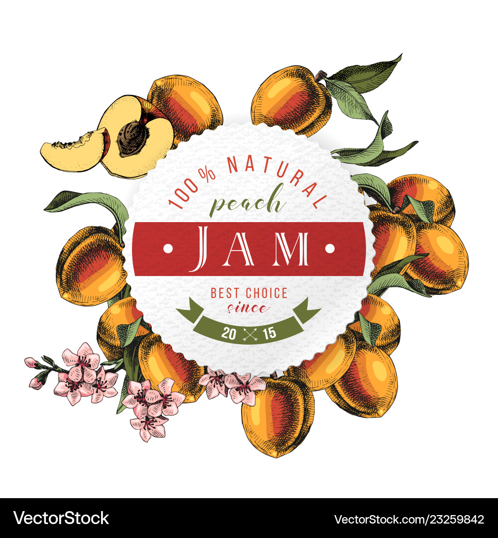 Peach jam paper emblem over hand drawn Royalty Free Vector