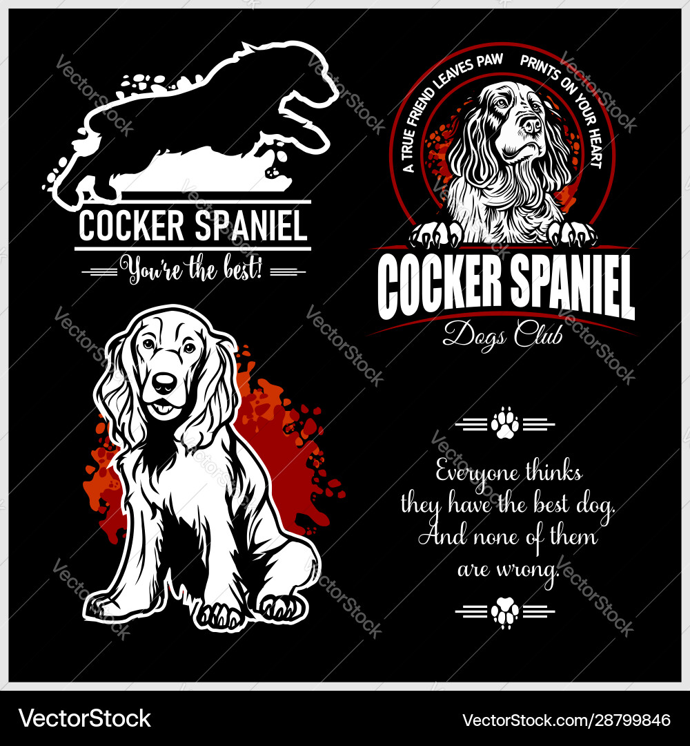 Cocker spaniel - set for t-shirt logo Royalty Free Vector