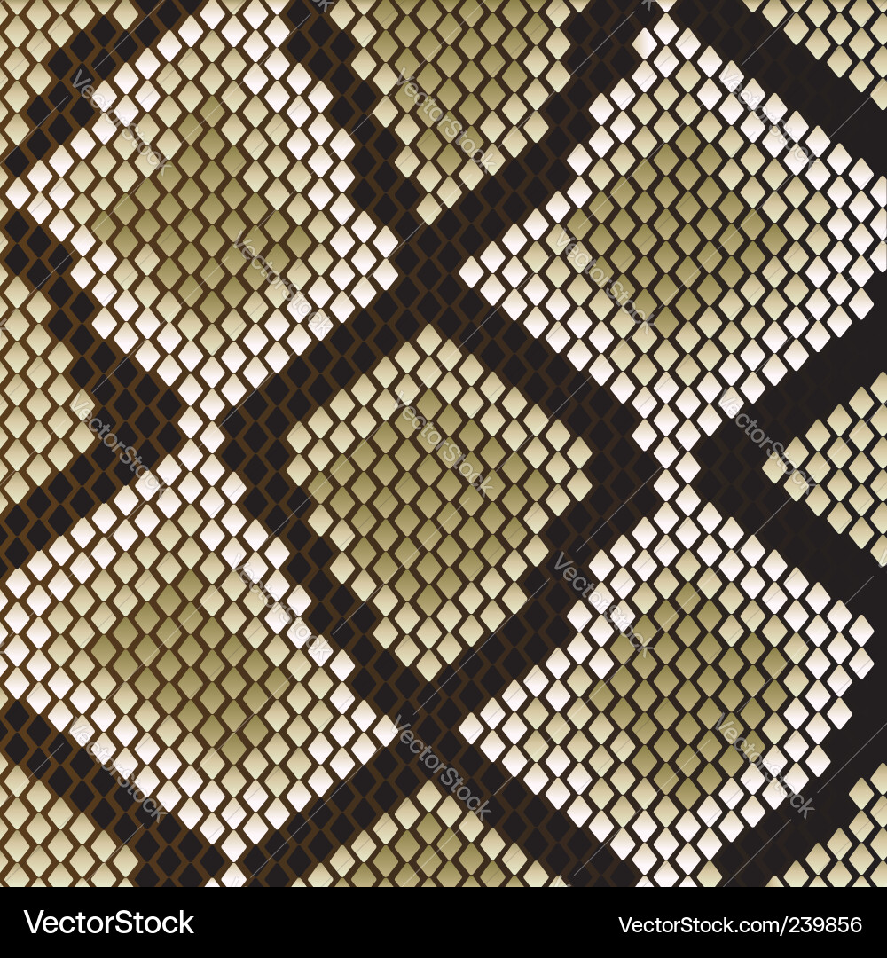 Snake skin Royalty Free Vector Image - VectorStock