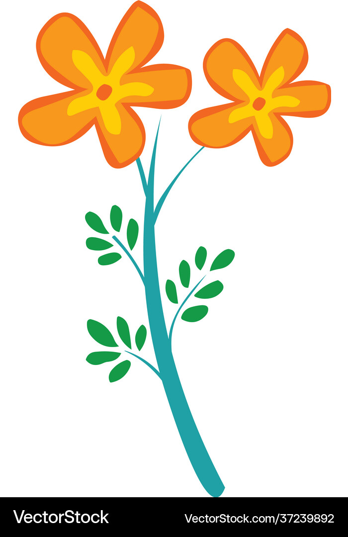 Flower buds Royalty Free Vector Image - VectorStock