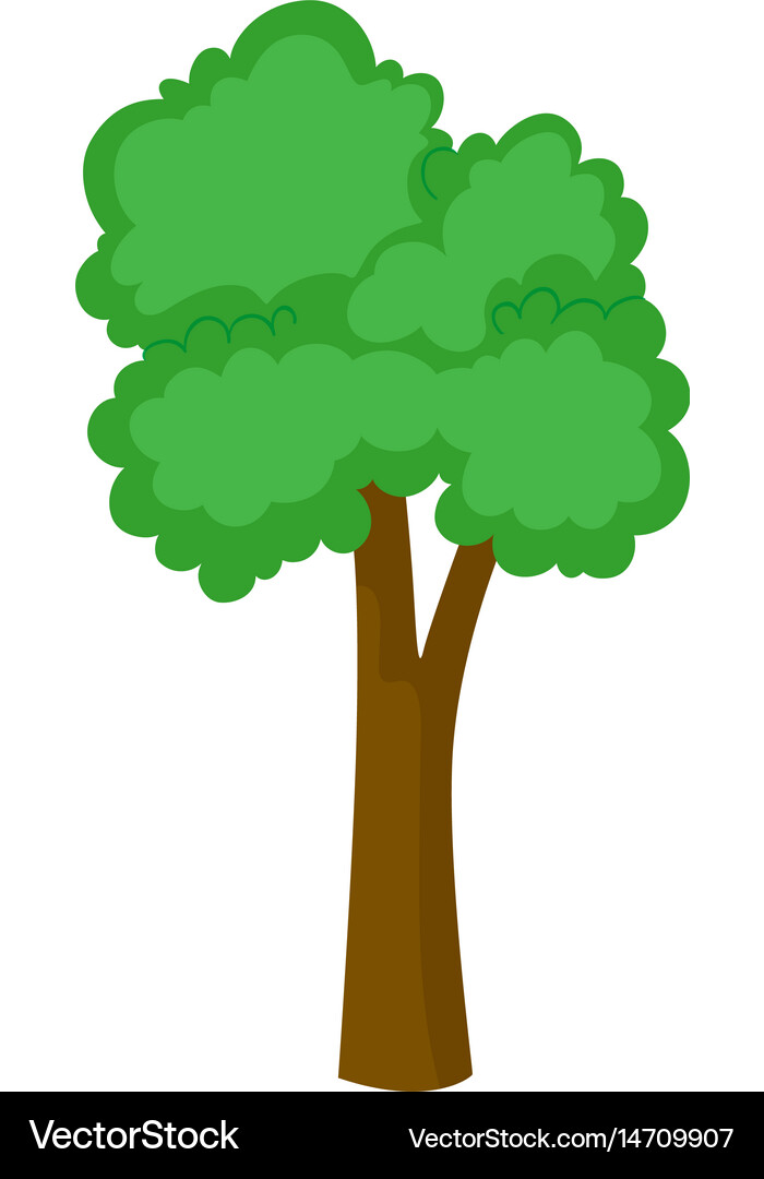 Tall tree on white background Royalty Free Vector Image