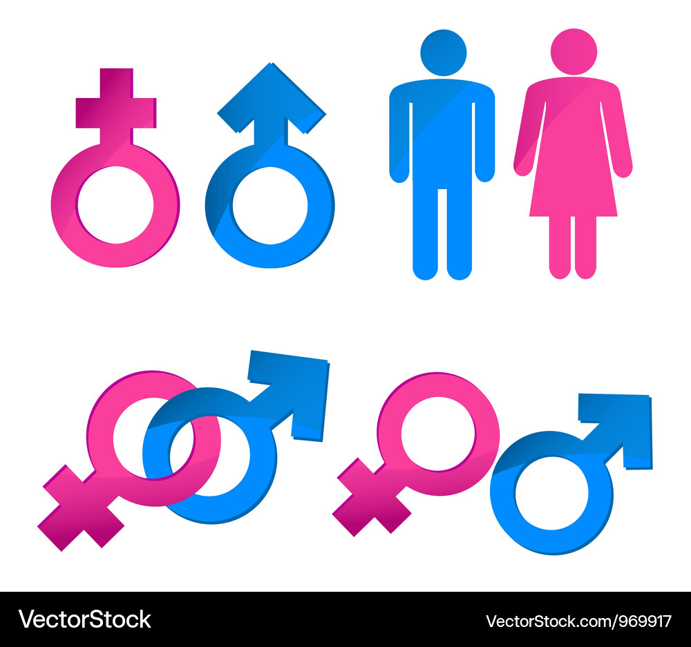 Gender symbols Royalty Free Vector Image - VectorStock