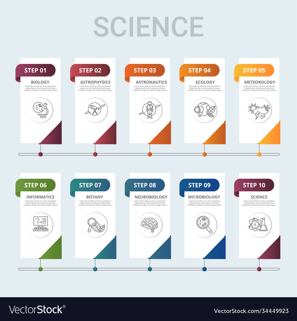 Infographic science template icons in different Vector Image