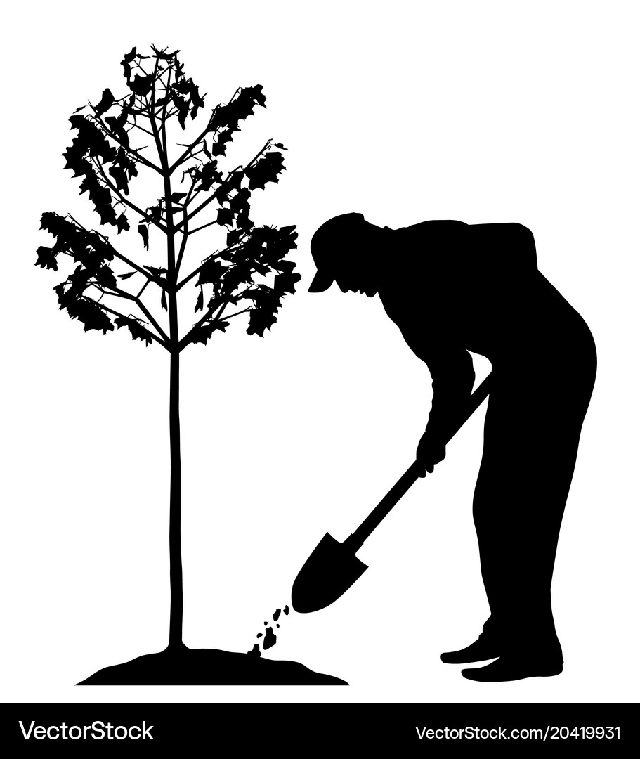 Man planting a tree Royalty Free Vector Image - VectorStock