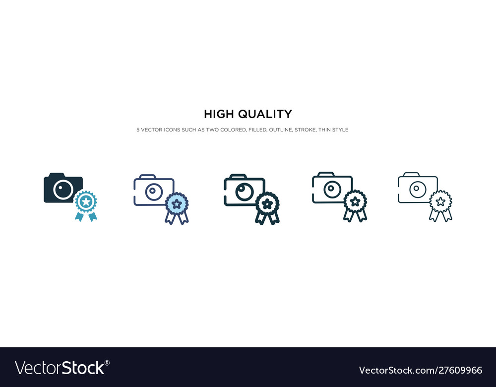 High quality icon in different style two colored Vector Image