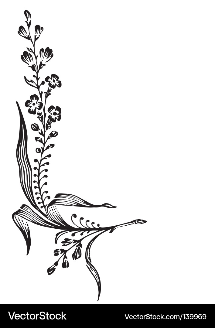 Antique flower corner engraving Royalty Free Vector Image - VectorStock