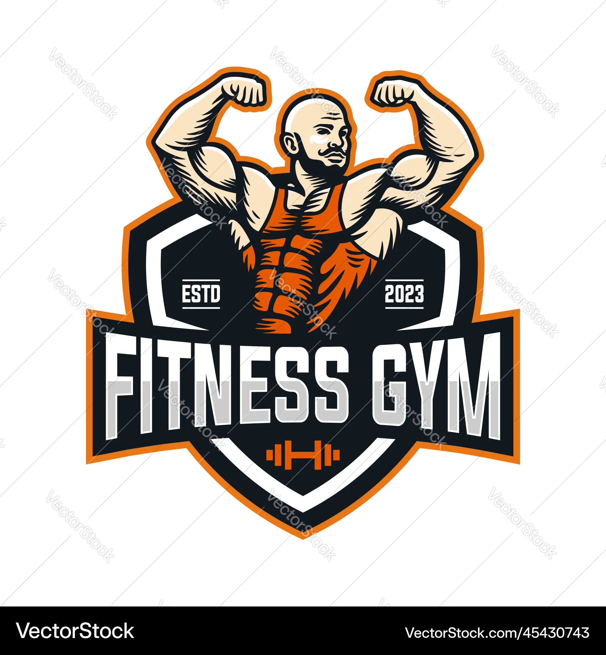 Bodybuilding Design Gyms That Raise The Bar For Design The Spaces