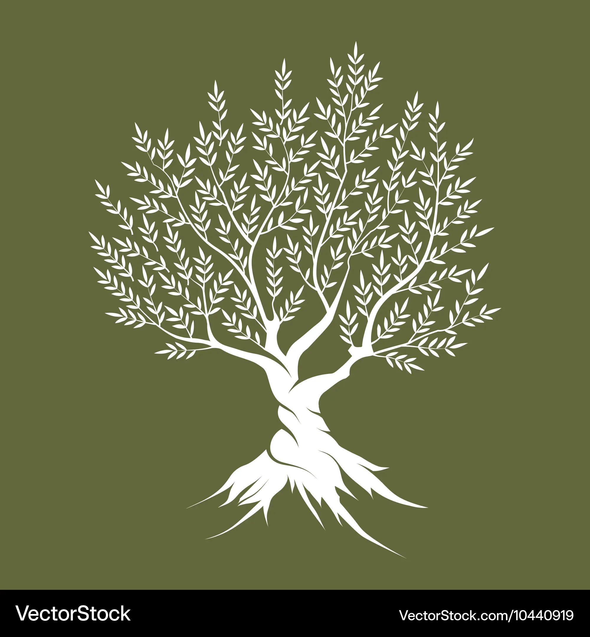 Olive Tree Vector Organic Olive Tree Nature Logo | Scalebranding