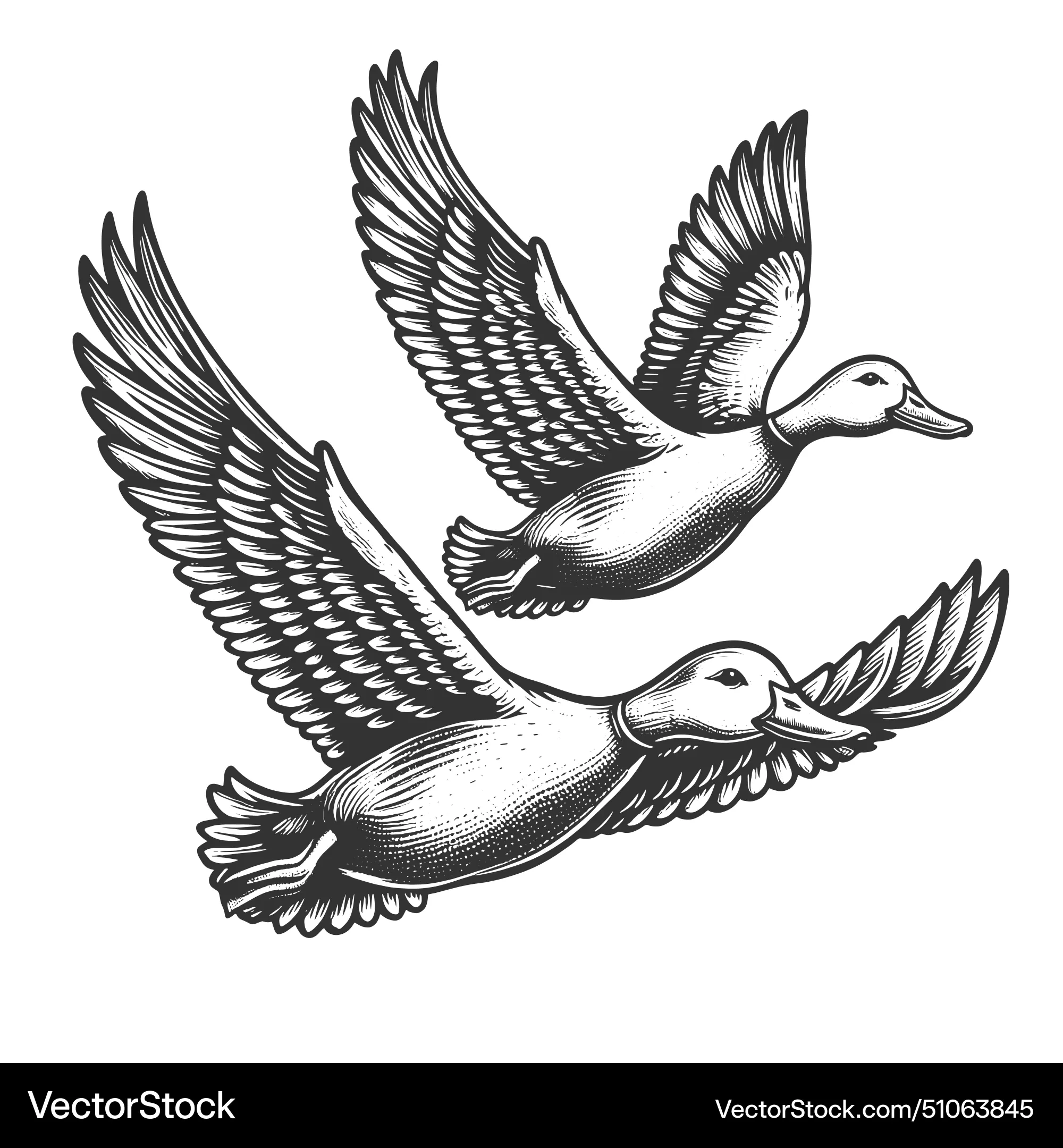 Flying Mallard Duck Outline