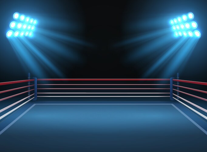 Wrestling Rink Wrestling Arena For American Japan Mexico Wrestling