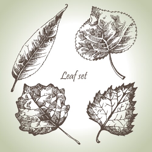Hand Leaf Vector Images (over 380,000)
