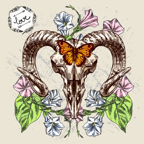 Animal skull Royalty Free Vector Image - VectorStock