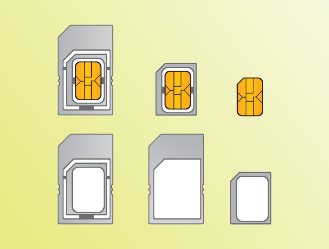 Types of sim cards Royalty Free Vector Image - VectorStock