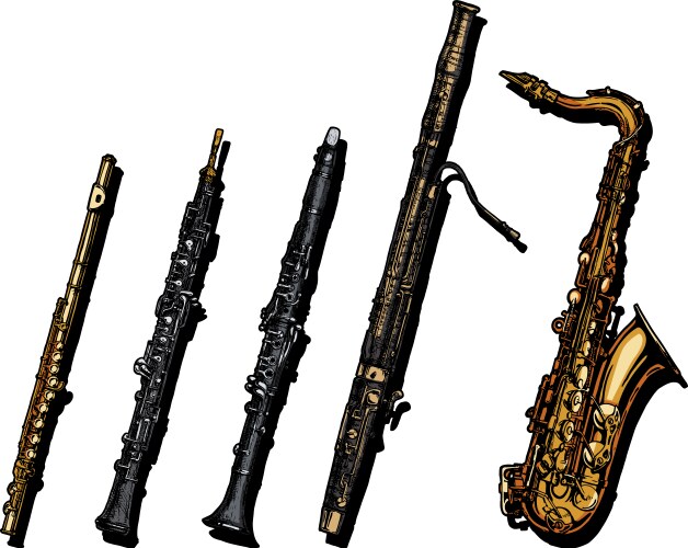 Woodwind musical instruments Royalty Free Vector Image