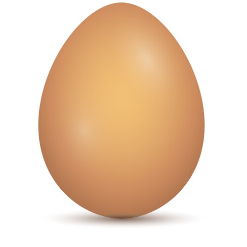 Egg Vector Images (over 310,000)