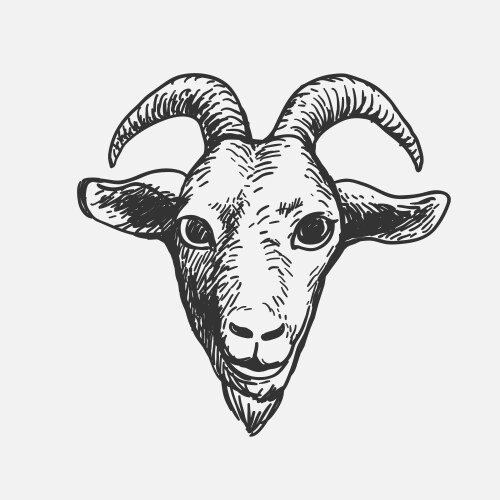 Hand drawn sketch portrait of goat Royalty Free Vector Image