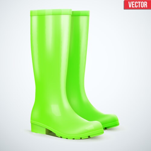 Waterproof rain rubber boots set realistic 3d Vector Image