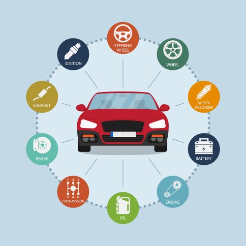 Wheel Infographic Vector Images (over 14,000)