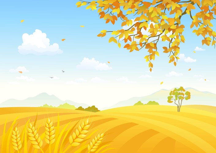 Open field Royalty Free Vector Image - VectorStock