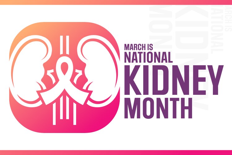 March is national kidney month Royalty Free Vector Image