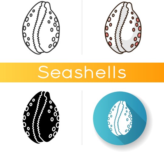 Cowrie Shell Vector Images (over 230)