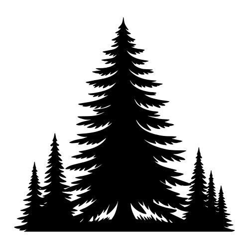 Conifer Trees Silhouette Vector Images (over 3,500)