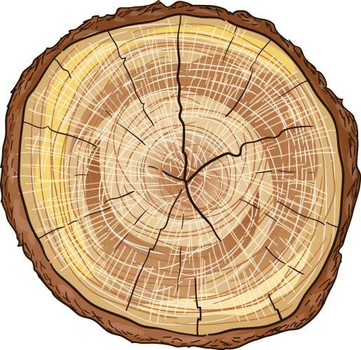 Textures Wood Vector Images (over 84,000)