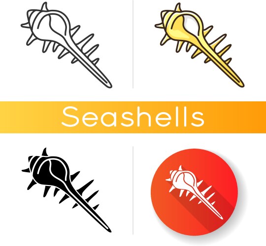Cowrie shell icon Royalty Free Vector Image - VectorStock