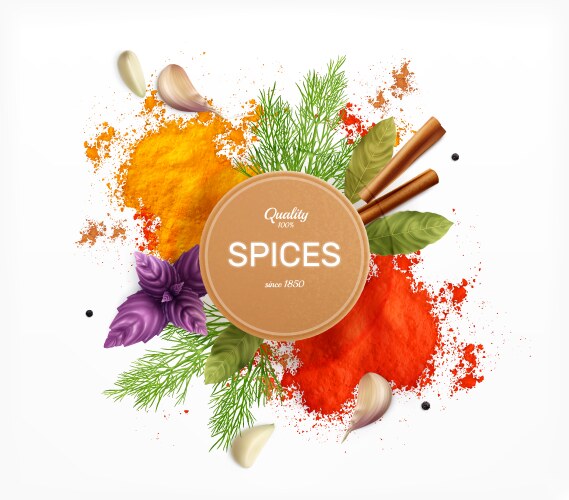 Aromatic spices collection cartoon herbs Vector Image