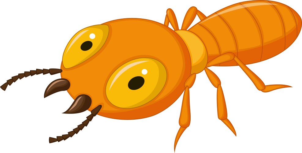 Termite on white background Royalty Free Vector Image