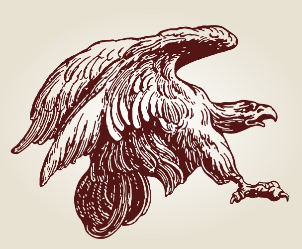 Eagle Vector Images (over 78,000)