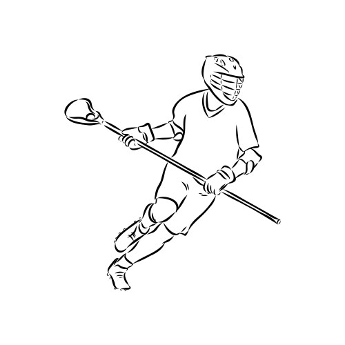 Lacrosse sport sketch outline Royalty Free Vector Image