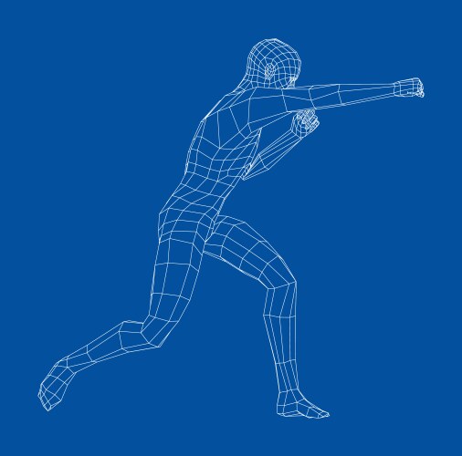 Wireframe boxing man Royalty Free Vector Image