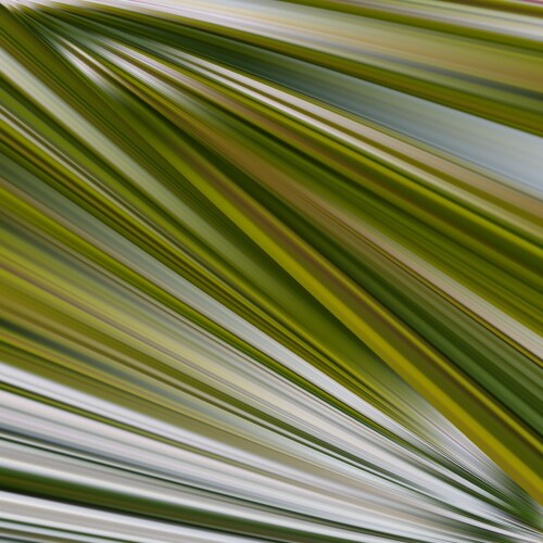 Linear stripes of green tones on white Royalty Free Vector