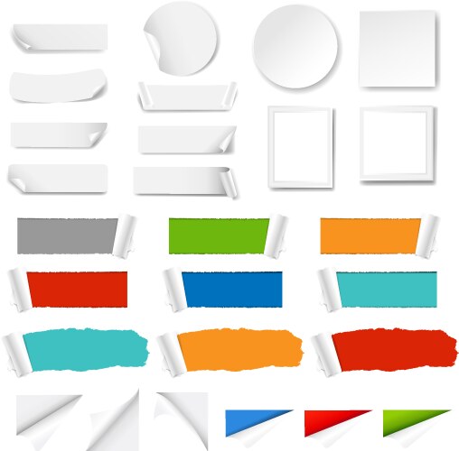 Green label isolated transparent background Vector Image