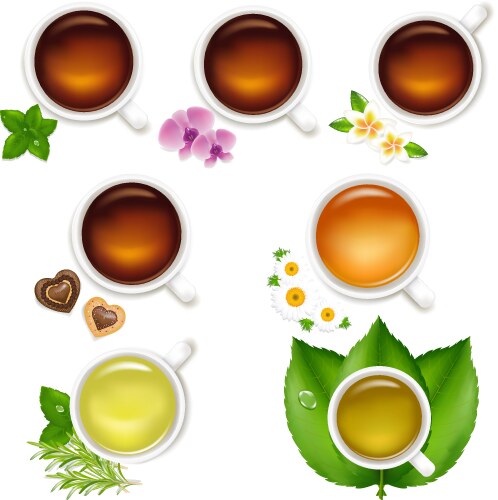 Tea Leaf Vector Images (over 52,000)