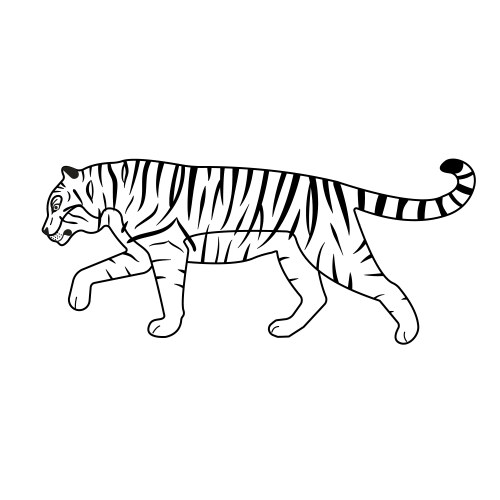 Flat hand drawn outline jumping tiger Royalty Free Vector