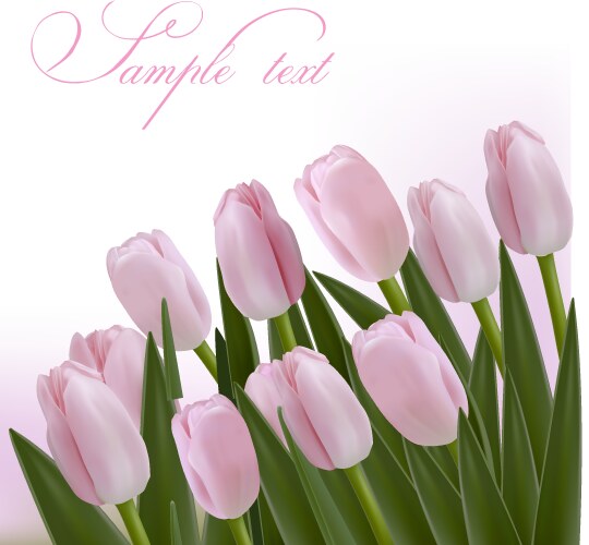 Tulip border Vector Images & Graphics for Commercial Use | VectorStock