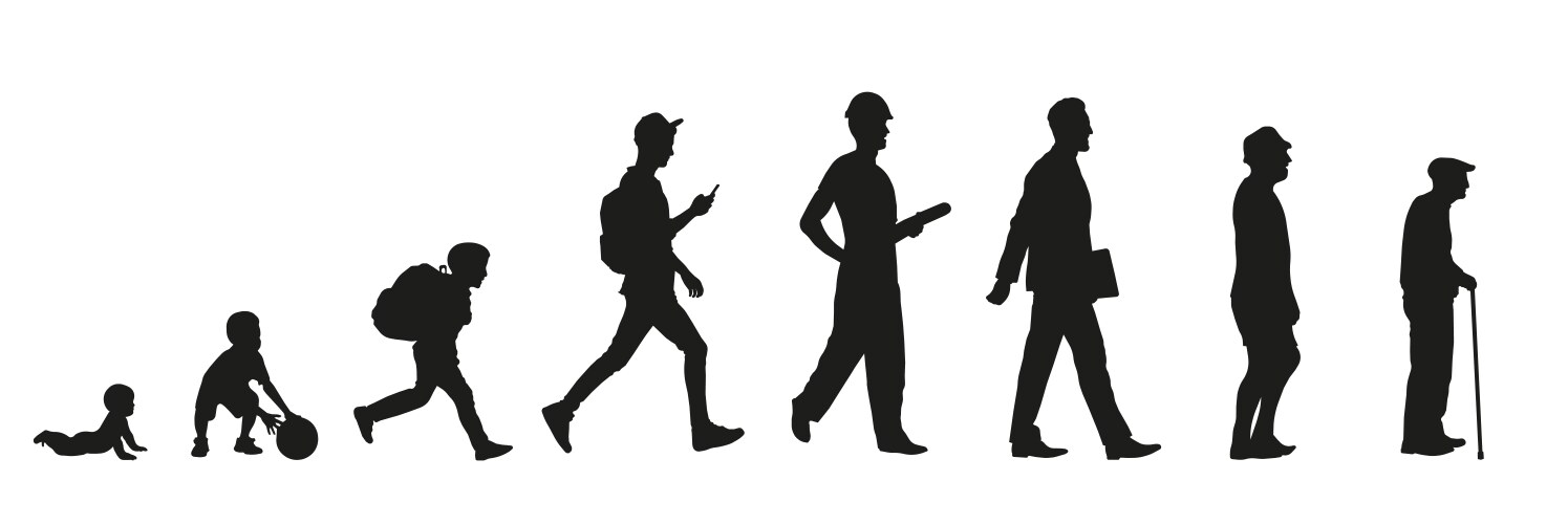 Human life cycle silhouette icon Royalty Free Vector Image