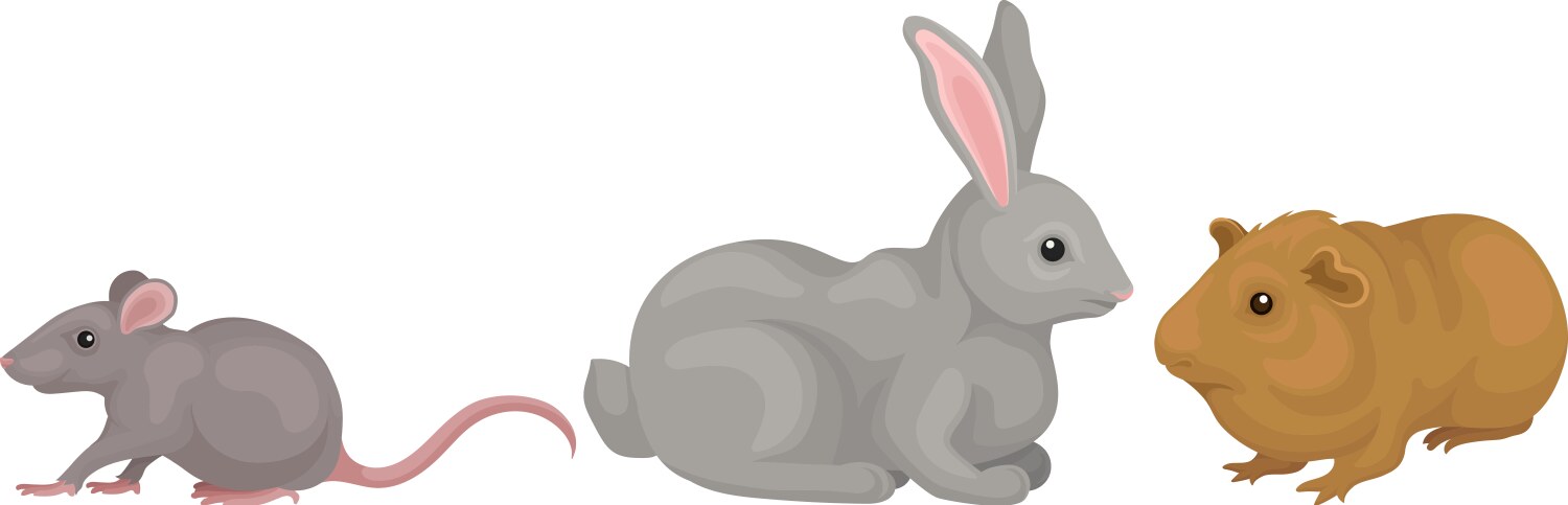 Robust Vector Images (over 2,000)