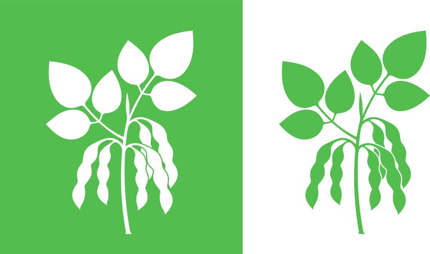 Soybean Royalty Free Vector Image - VectorStock