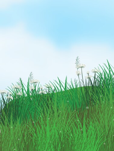 Grassland Cartoon Vector Images (over 2,900)