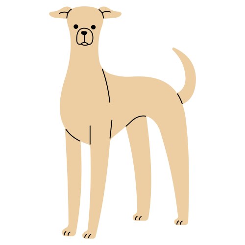 Greyhound Vector Images (over 1,700)
