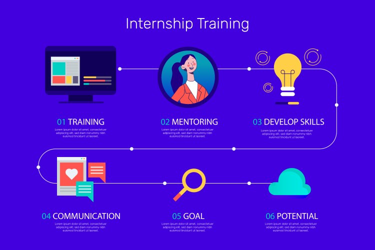 Internship training infographic Royalty Free Vector Image