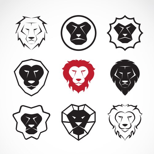 Lion logo set collection premium design Royalty Free Vector