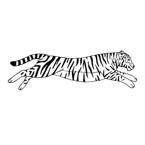 Flat hand drawn outline jumping tiger Royalty Free Vector