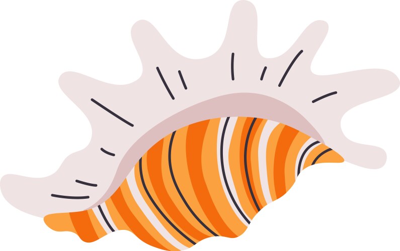 Sea shell clam Royalty Free Vector Image - VectorStock
