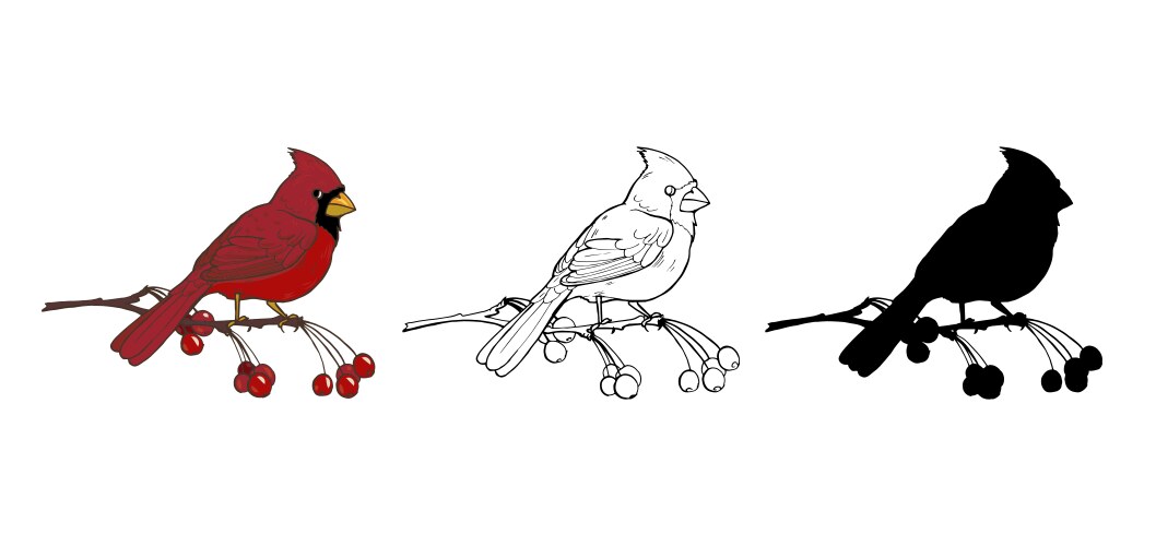 Cardinal Vector Images (over 5,000)