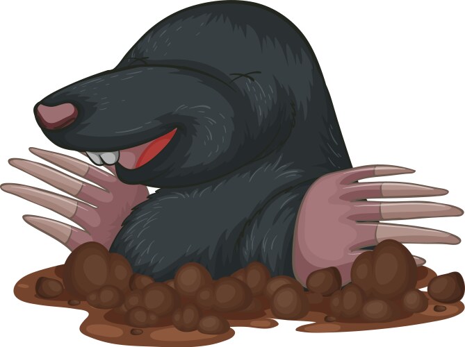 Little cute mole on white background Royalty Free Vector